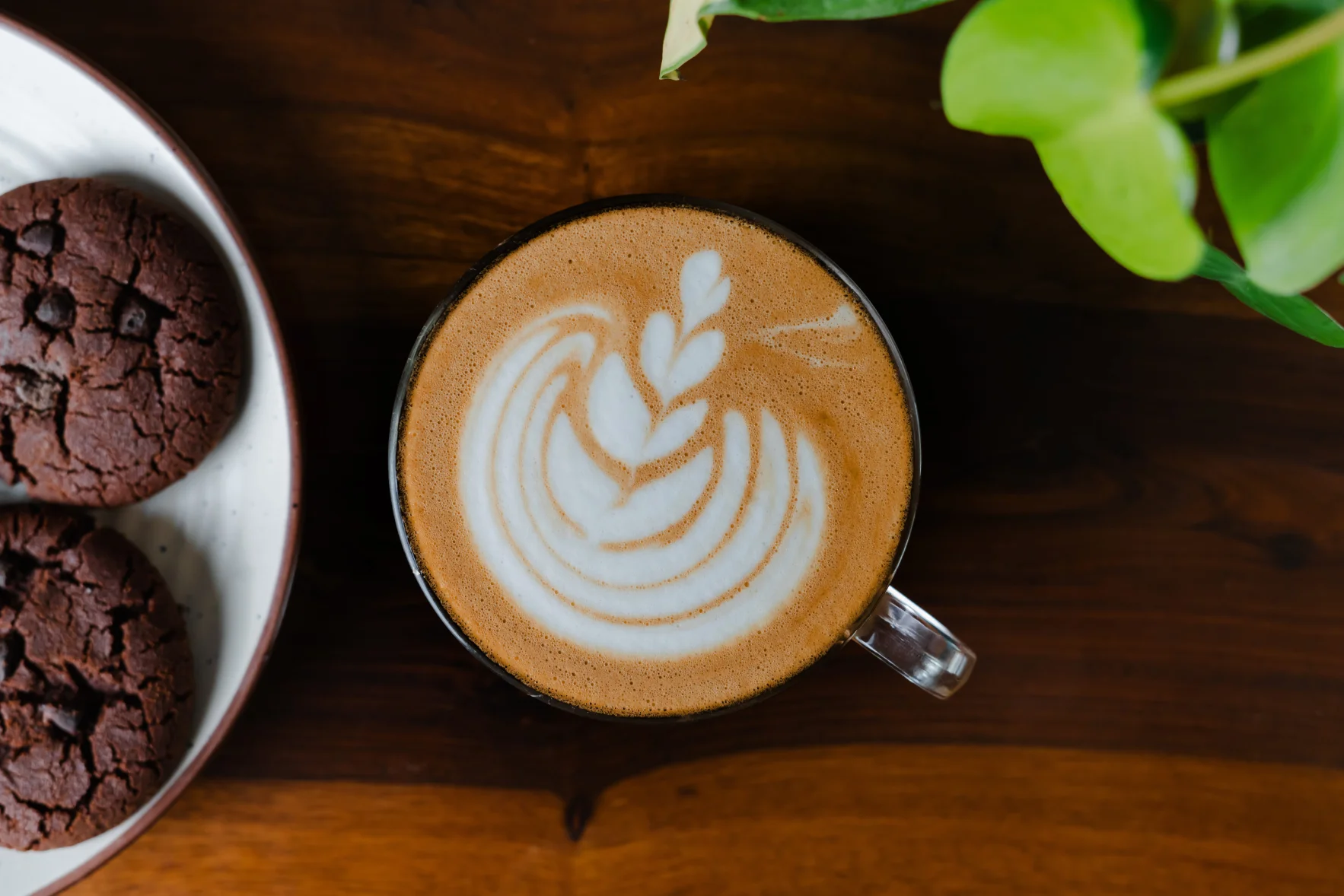 Coffee Therapy Artisan