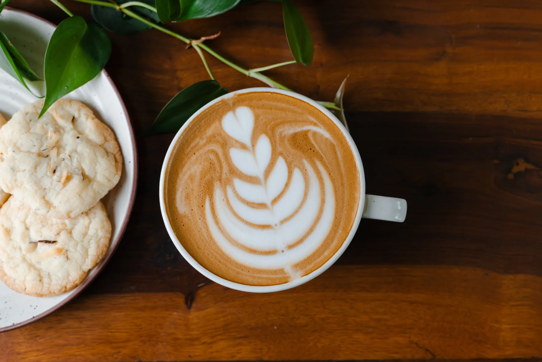 Coffee Therapy Artisan